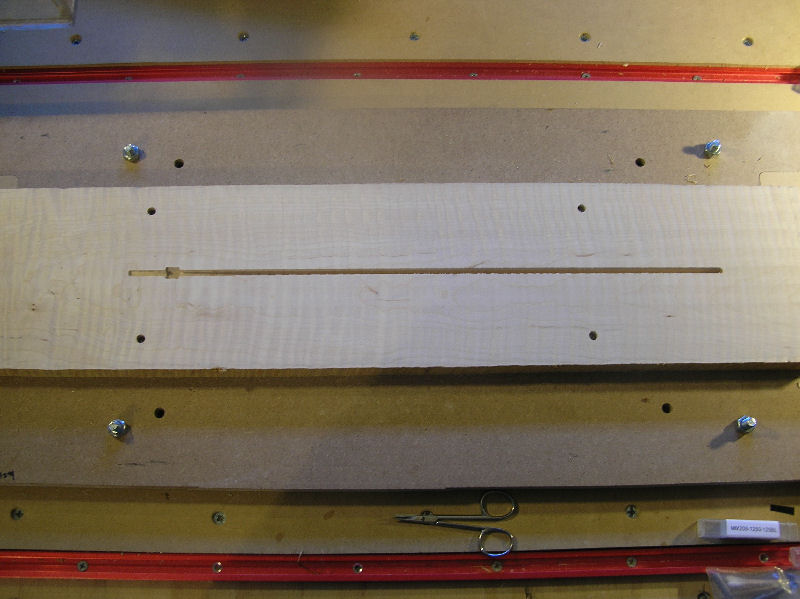 Saguaro Custom Guitars